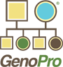 GenoPro - Genealogy Software - GenoPro
